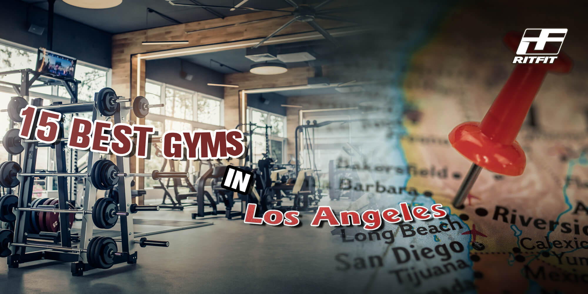15 Best Gyms in Los Angeles for Newbies & Fitness Buffs Alike 2023