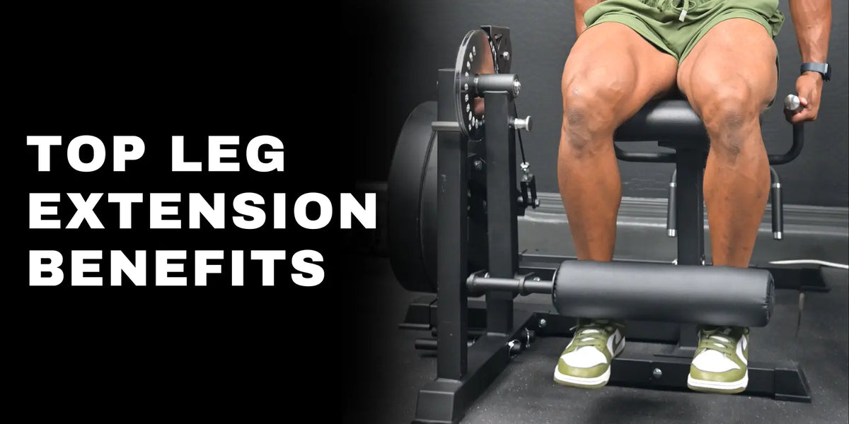 leg extension exercise