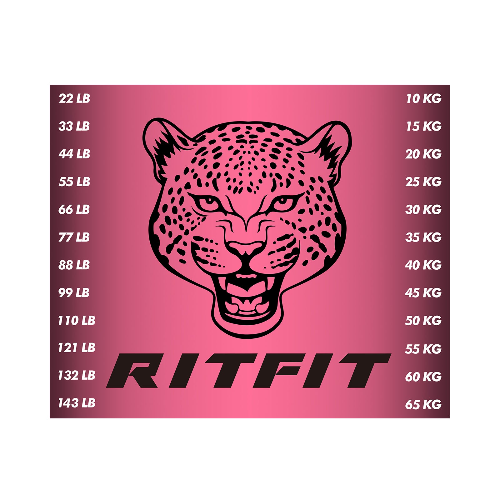 RitFit M1/M2 Pro Weight Stack Stickers – Gym Weight Markers
