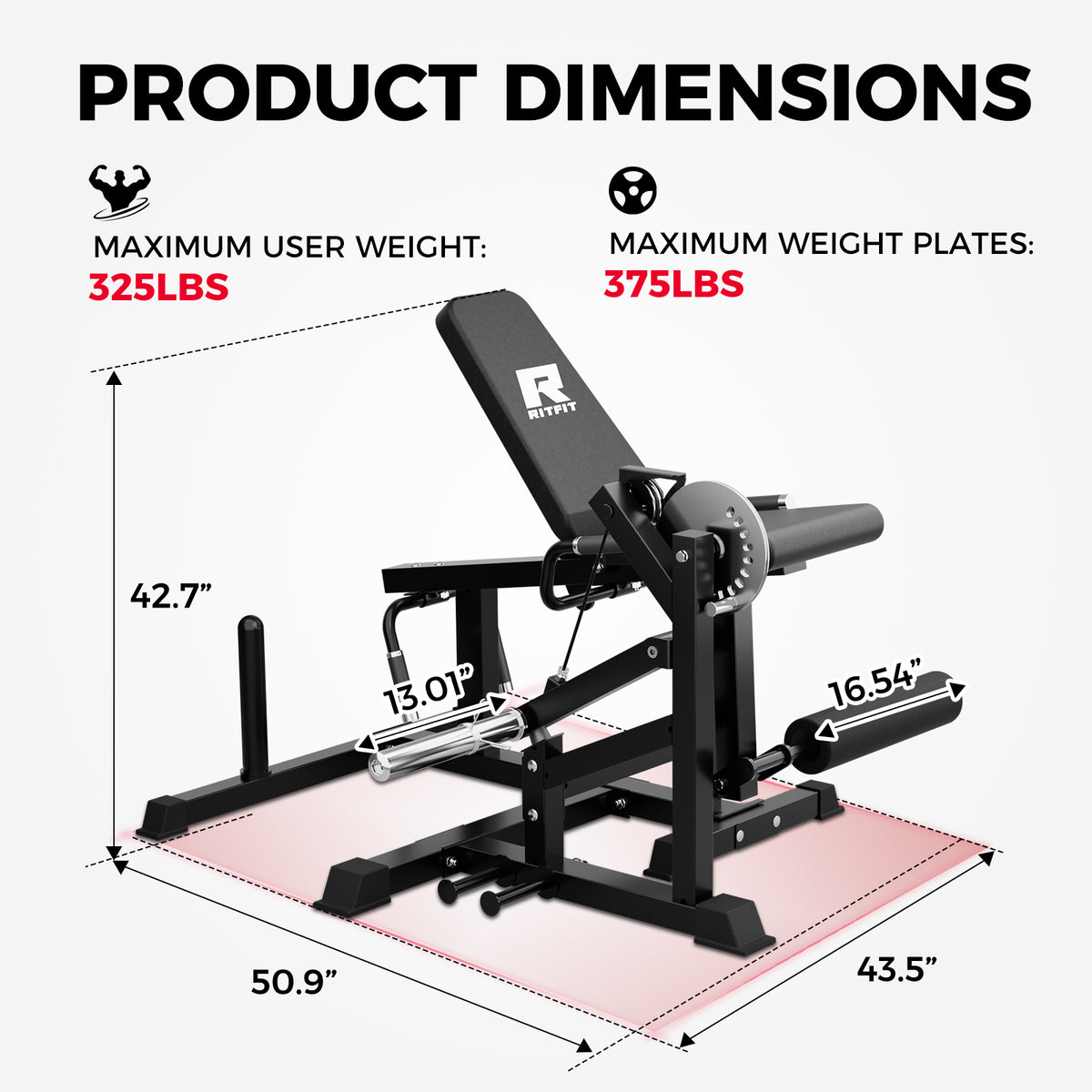 PLC01 Leg Extension Curl Machine